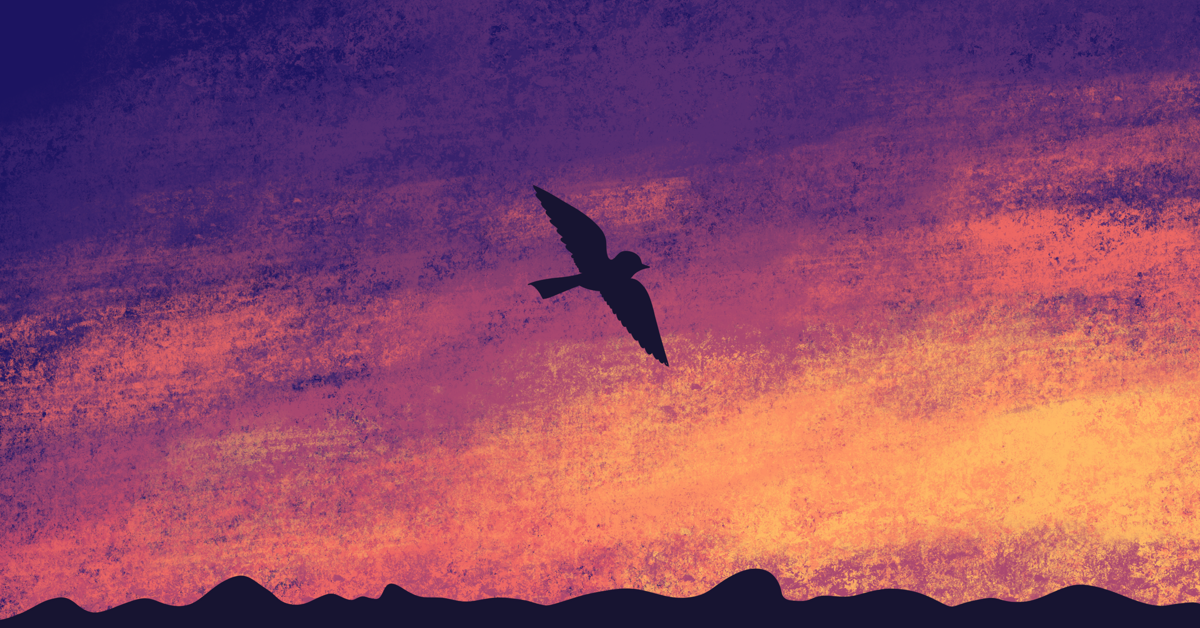 Epilepsy Death in Sleep: Awakening Awareness to SUDEP